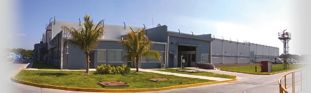 ‘Mexico has what it takes to be the South American tissue giant ...